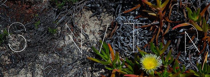 Sarah Neufeld – “The Ridge” | The PROG Mind